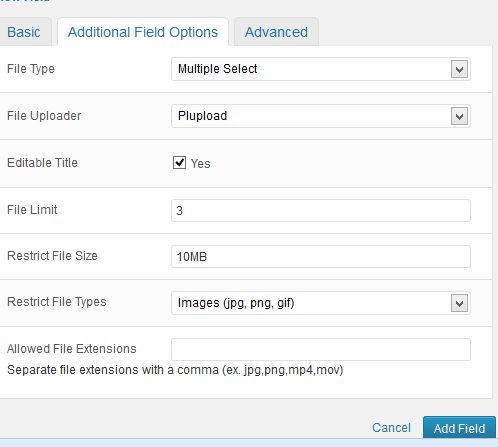 Ability to restrict mime type and file upload size - Toolset