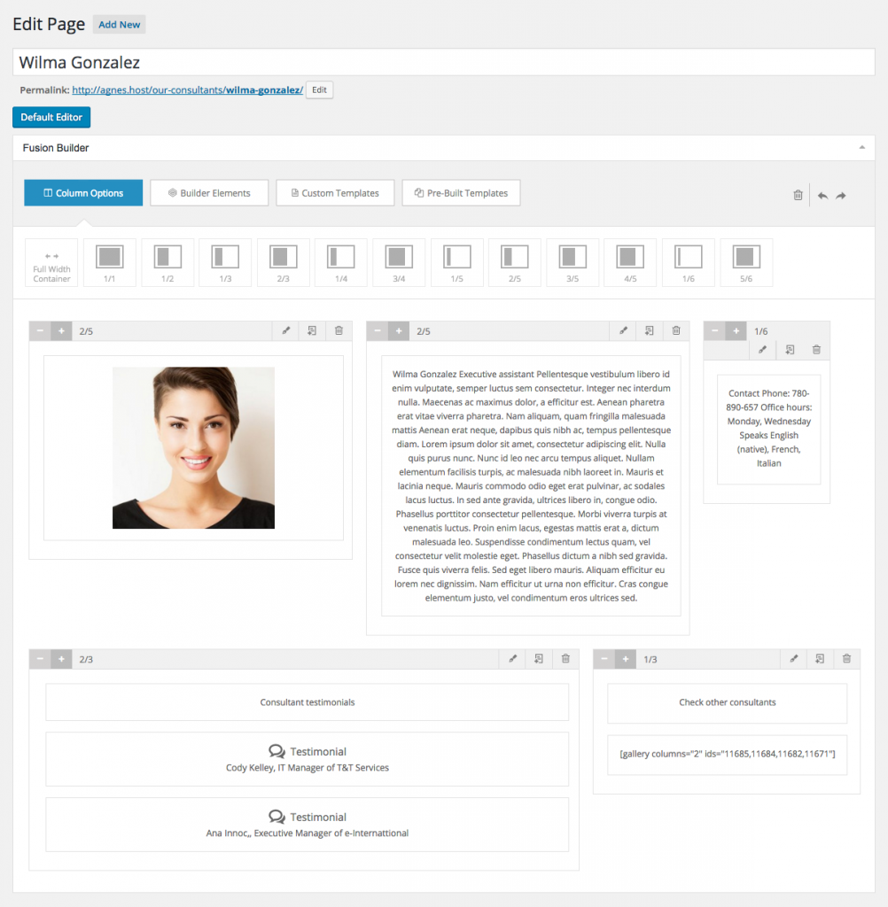 How to add custom types efficiently to themes that have page builders - Toolset