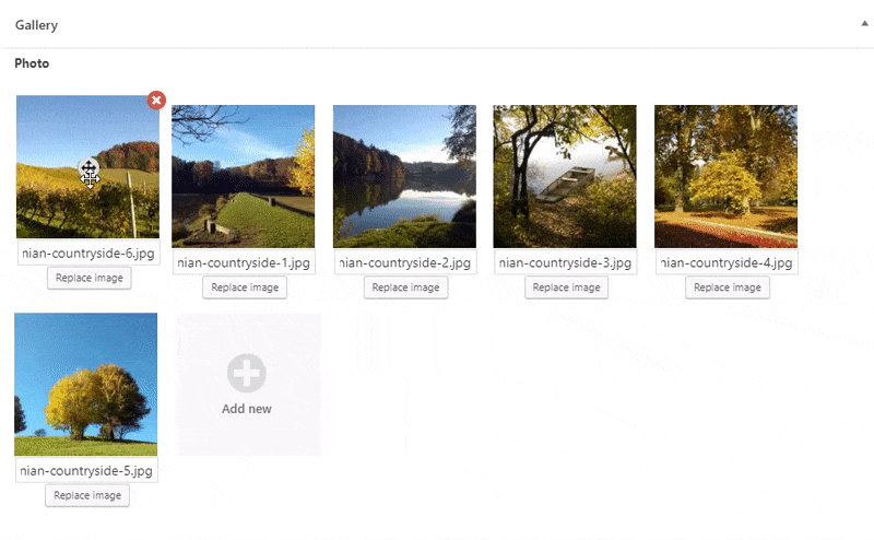Types 3.3 brings improved repeating images and REST API integration ...