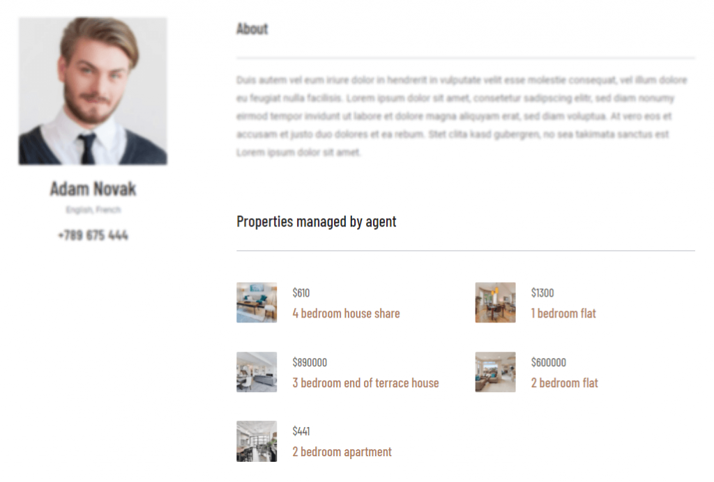 Creating Templates to Display Custom Posts in WordPress - Toolset