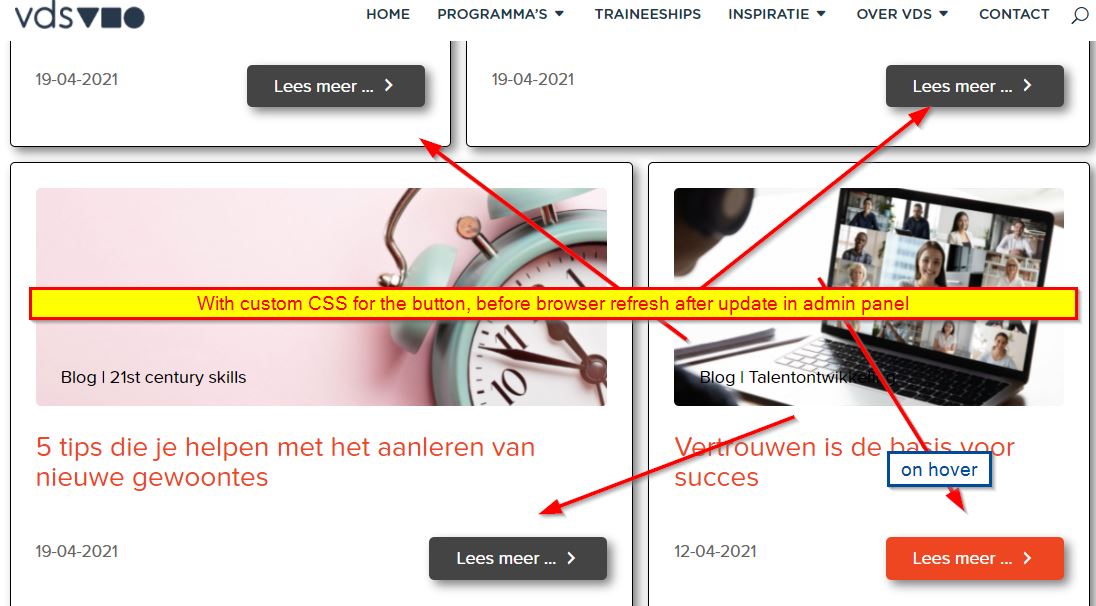 Blocks button looses custom CSS after refresh - Toolset